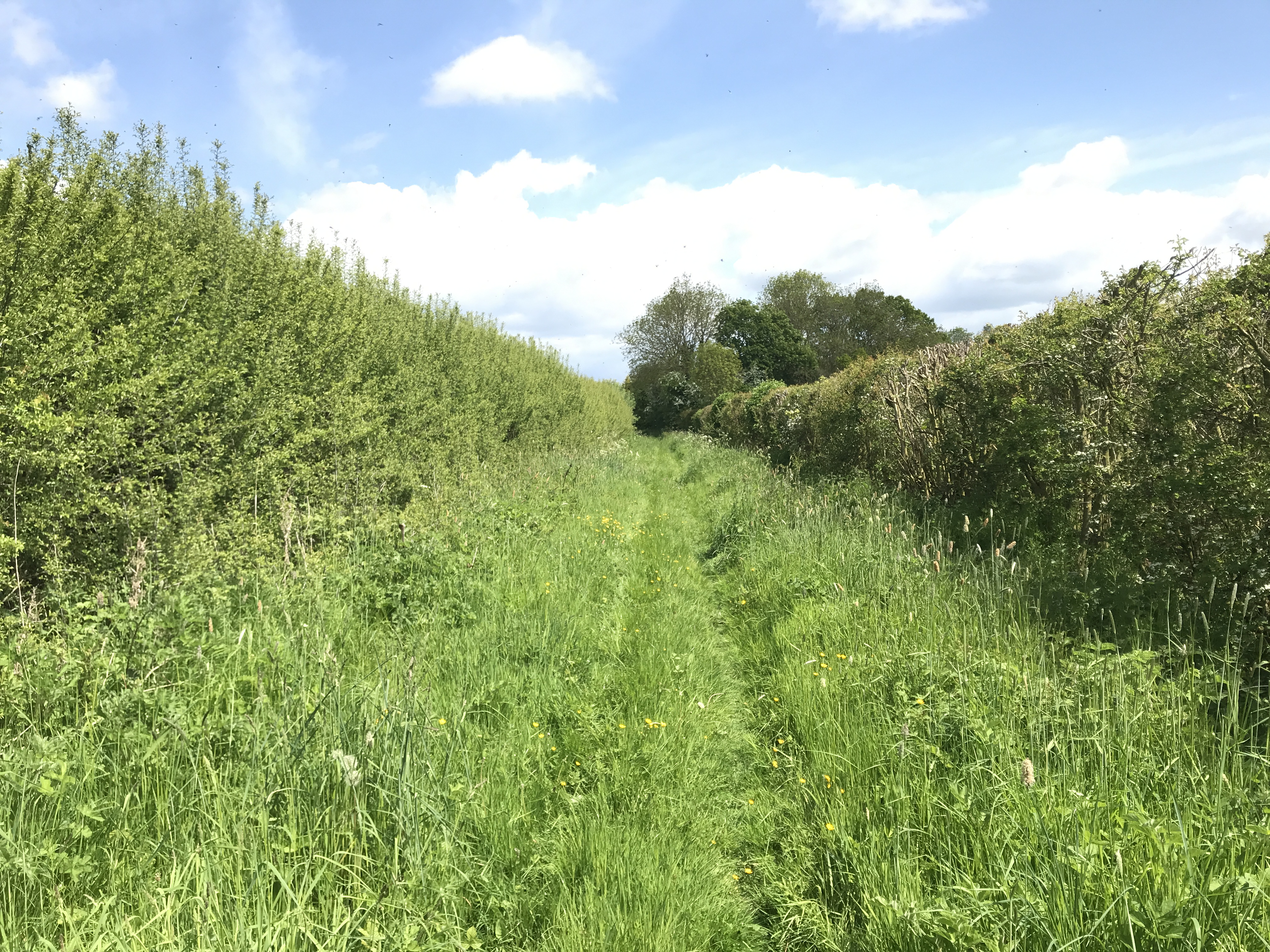 BNG Units for Sale, White House Farm, North Yorkshire, Vale of York ...