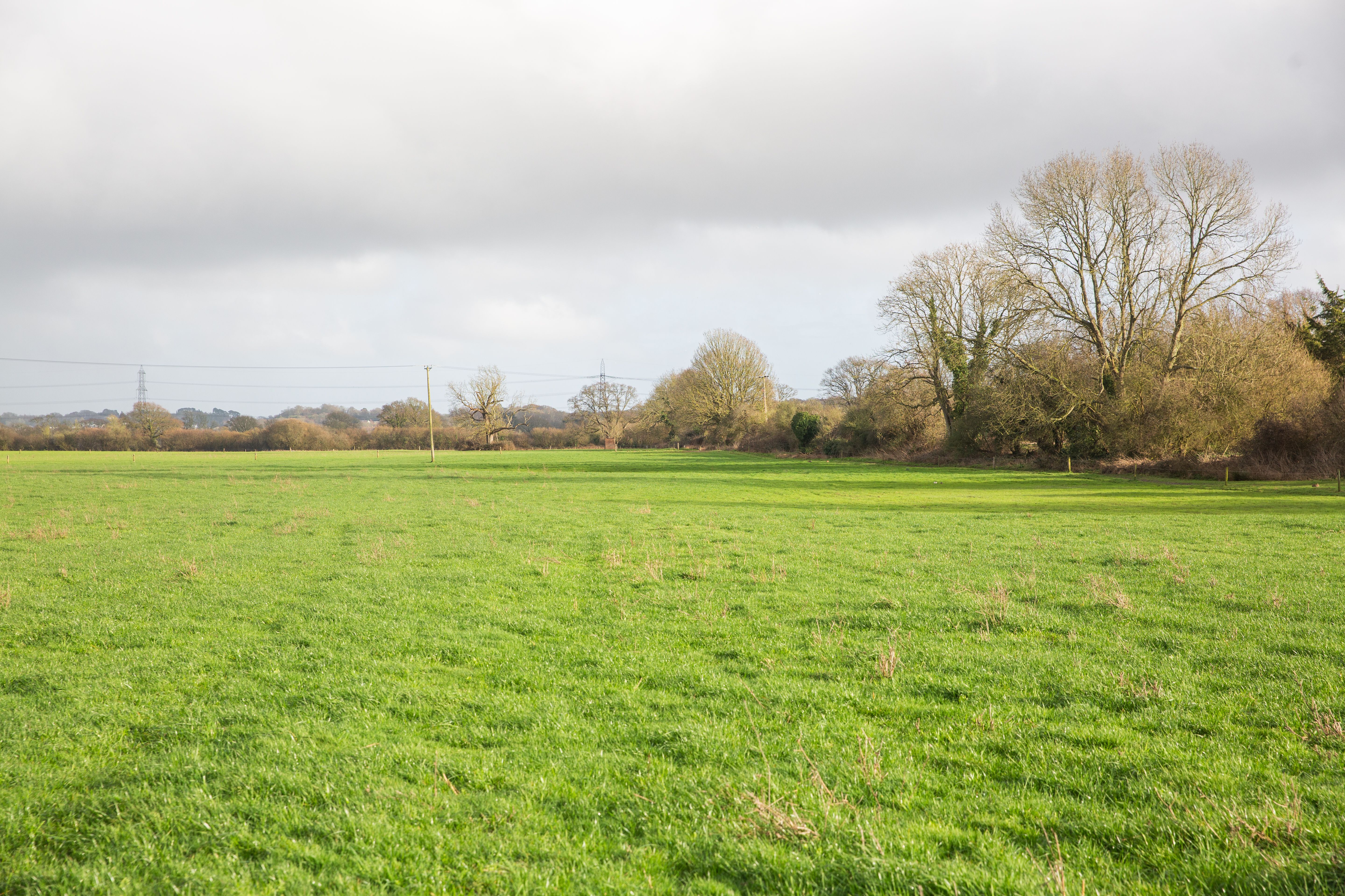Land at Sturminster Farm for sale in Stuminster | Tytl